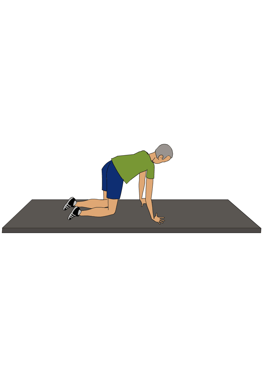 Exercises for Back Pain: Cat and Cow - Laird Chiropractic