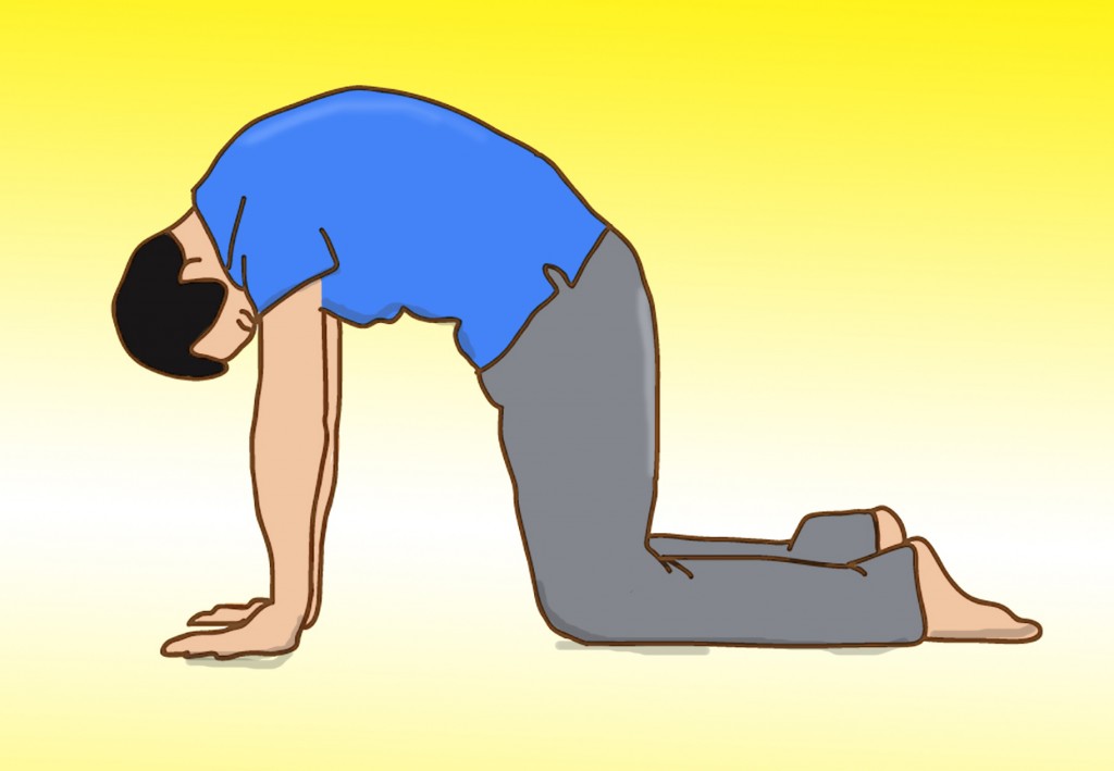 Cat Cow: A Gentle Back Stretch - Laird Chiropractic